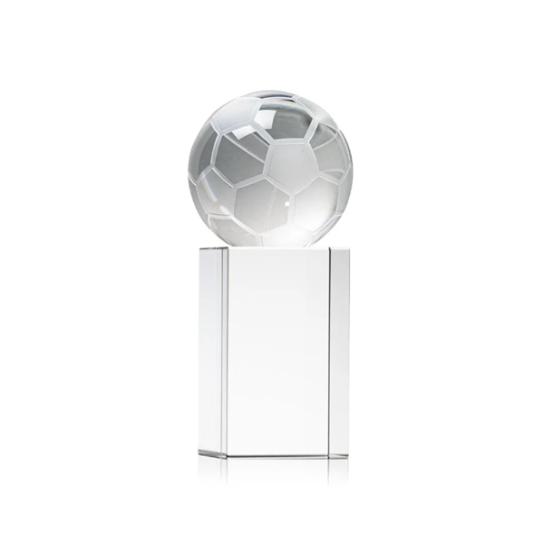 Soccer Ball VividPrint™ Award on Dakota | Plum Grove