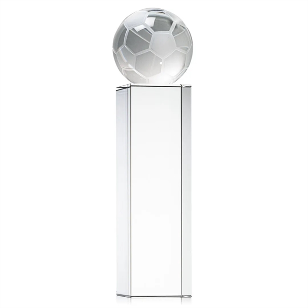 Soccer Ball VividPrint™ Award on Dakota | Plum Grove