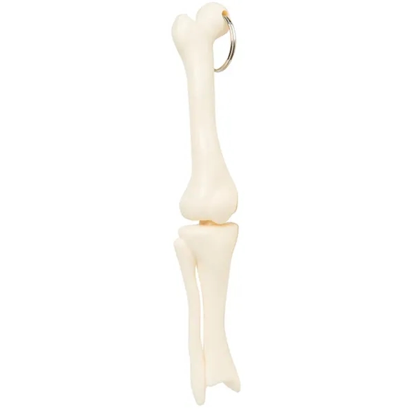 Knee Joint Bone Keyring | Plum Grove