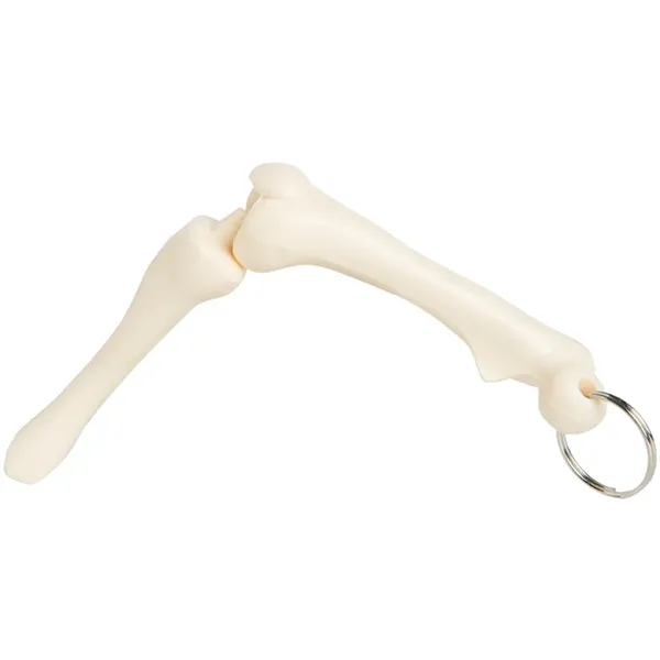 Knee Joint Bone Keyring | Plum Grove