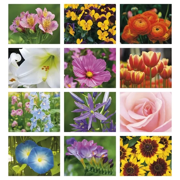 Good Value™ Flowers - Spiral Calendar | Plum Grove
